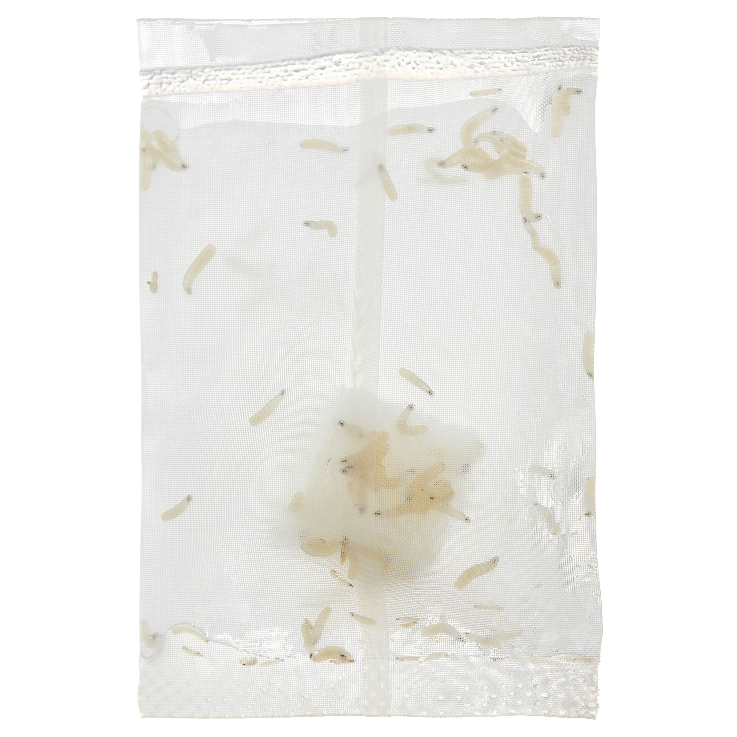 BioBag | Wound Care Handbook